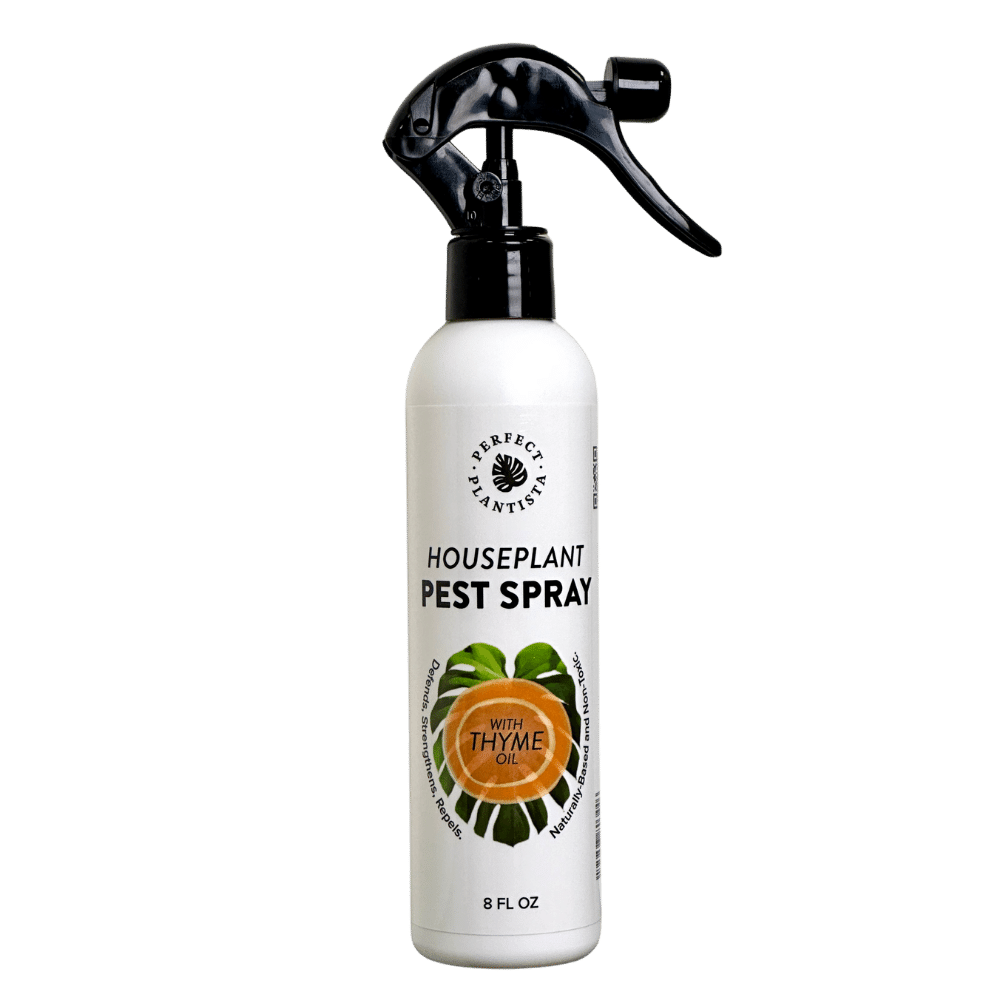 Pest Spray: Natural + Non-Toxic Houseplant “Perfect Plantista” Pest Sp ...